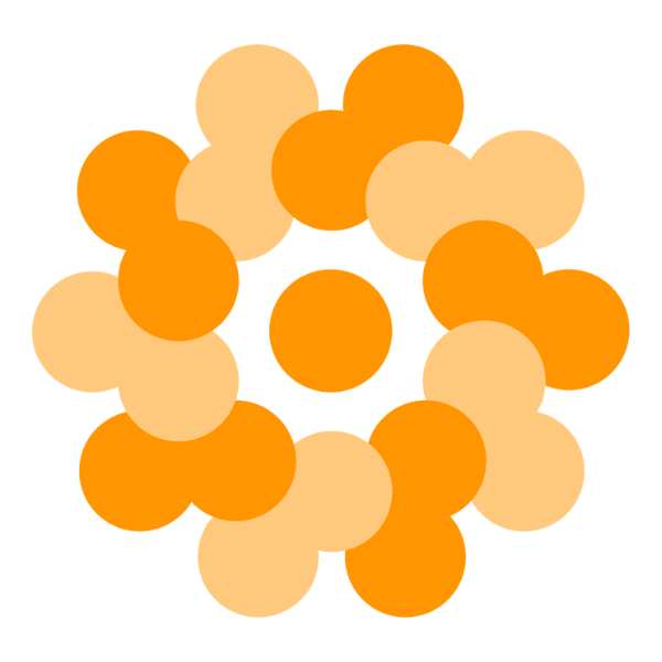 Master Human Resources Management per Professionisti | w.academy